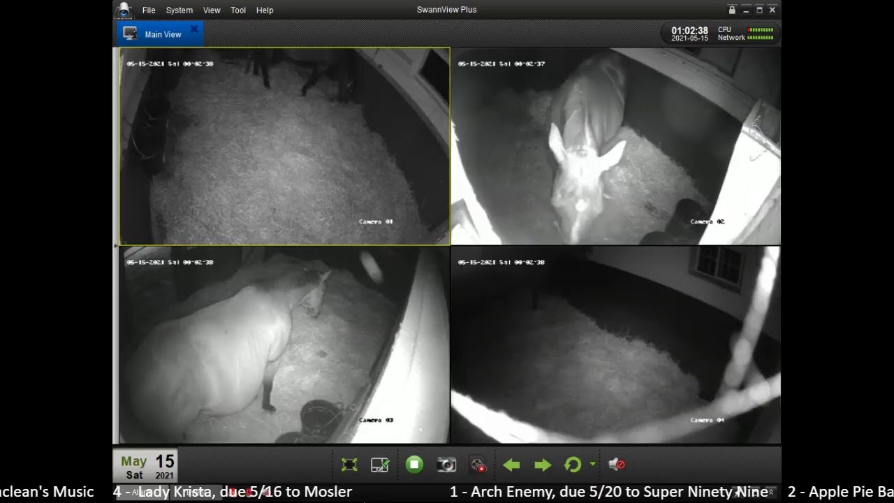 Country Life Foaling Cameras - YouTube