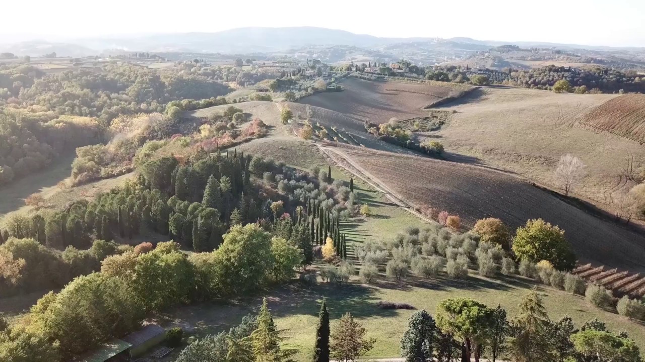 Poggio ai Borboni - YouTube