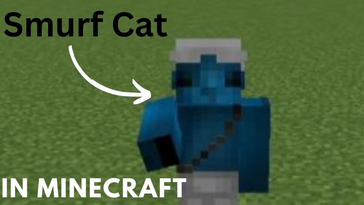 I found Smurf Cat in Minecraft... - YouTube