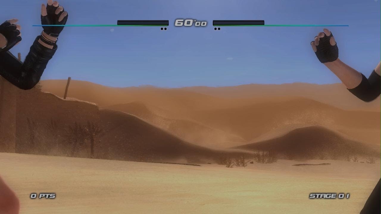 Tina-DEAD OR ALIVE 5 Last Round_2023-01-29 - YouTube