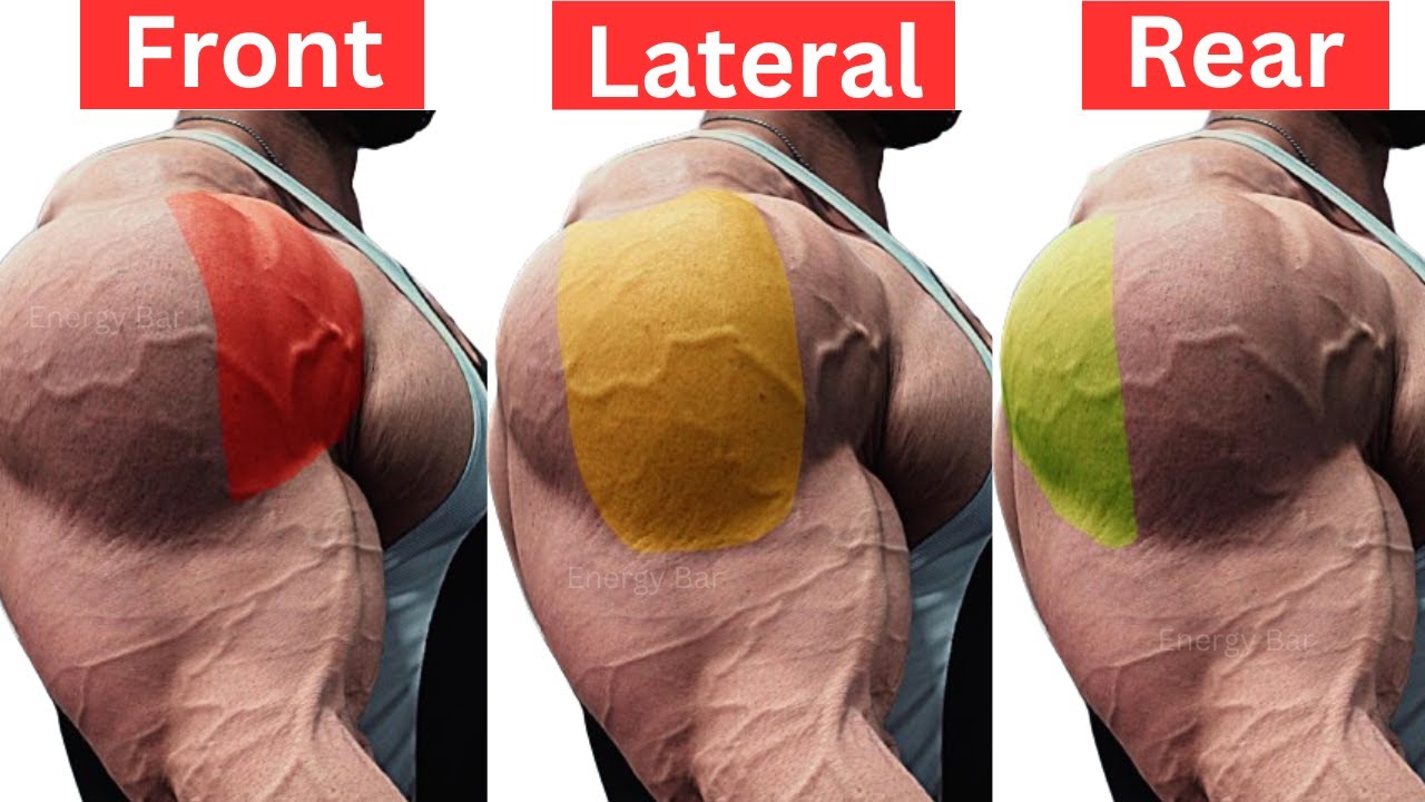 8 Unbelievable Exercises for Shoulders Growth | 3D Shoulders - YouTube