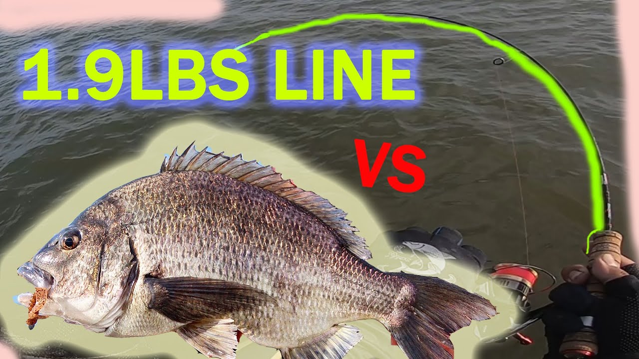 Jackpot sa Bakoko Bagong Spot Manila Bay Delta! Sheepshead = Bakoko ...