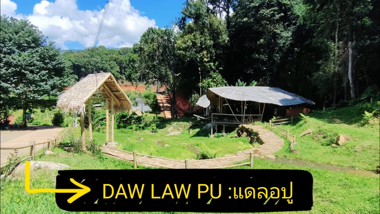 Dae Low Pu : แดลอปู คาเฟ่ ทางขึ้นดอยอินทนนท์ - YouTube