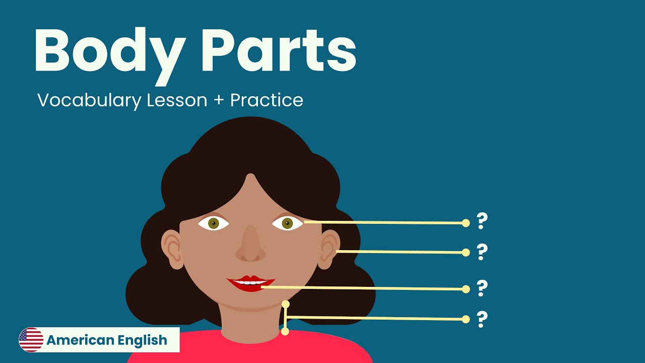 Body Parts + Practice | American English for Adult Beginners - YouTube