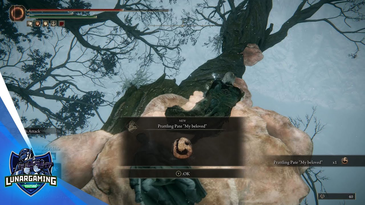 How To Get The Prattling Pate My Beloved & Warming Stones Elden Ring ...