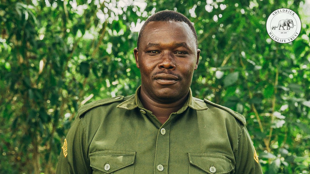 Guardians of the Forest | Sheldrick Trust - YouTube