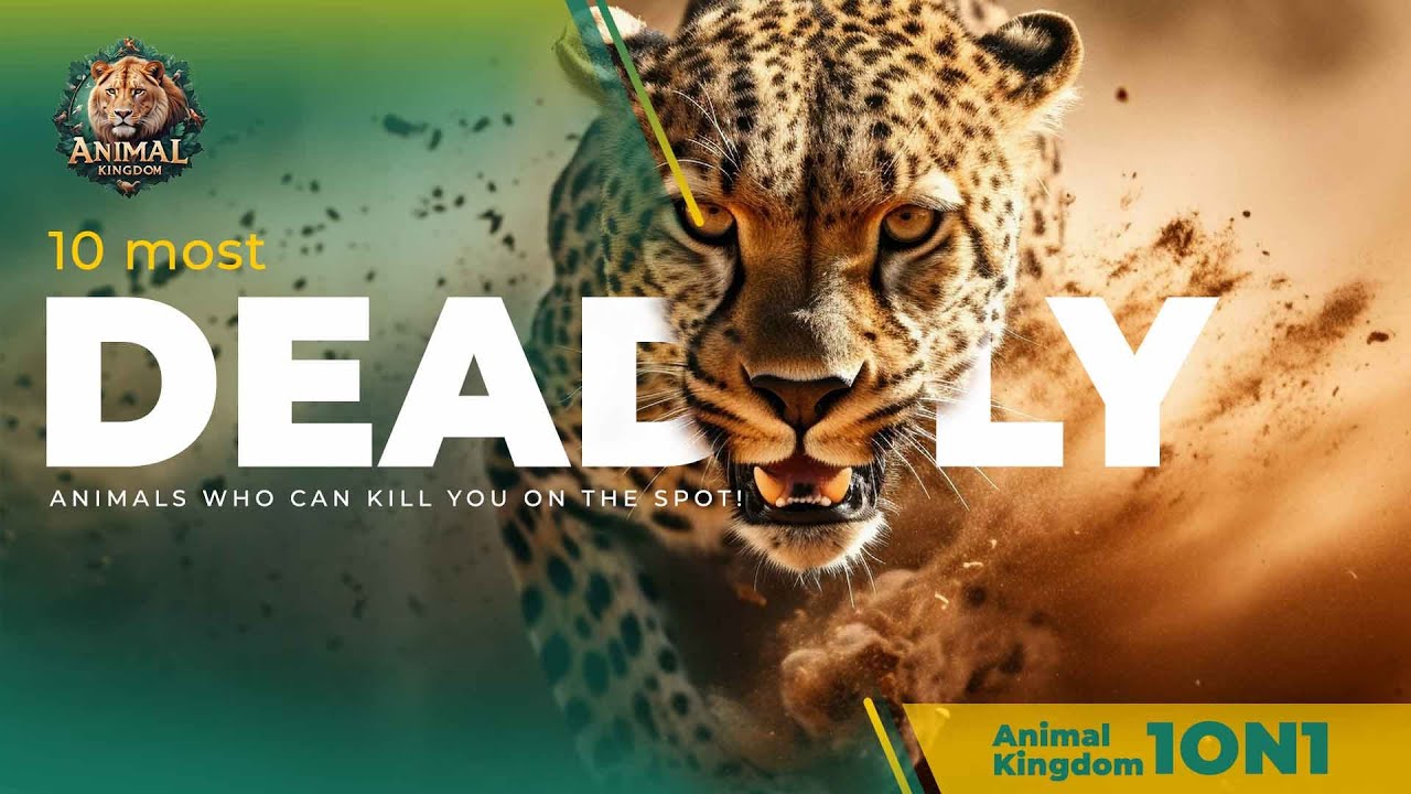 10 most deadly animals who can kill you on the spot! - YouTube