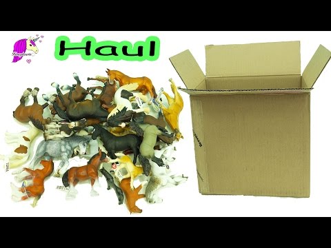 Haul