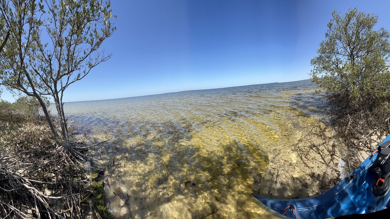 KAYAKING IN BAYPORT FLORIDA - YouTube