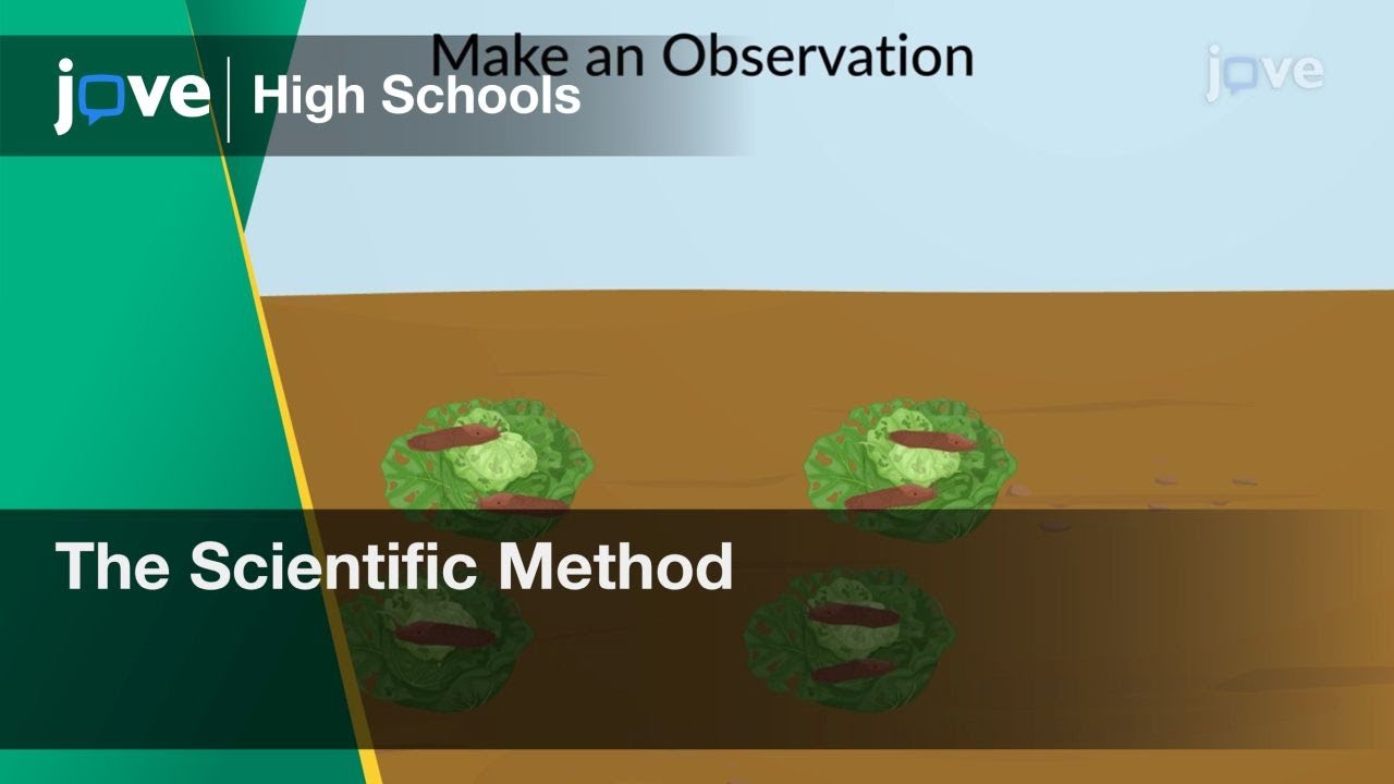 The Scientific Method | Bio | Video Textbooks - Preview - YouTube