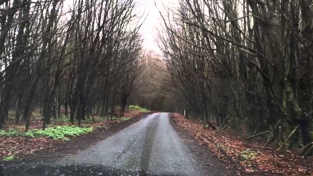 Woodlands of Loughglynn - YouTube
