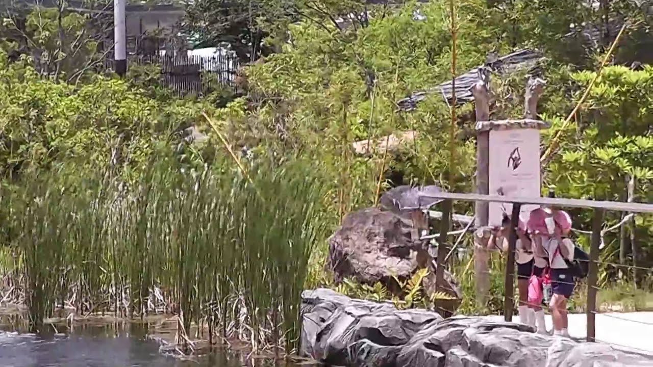 UBE TOKIWA MUSEUM BIENNALE PARK ZOO GREEN HOUSE - YouTube