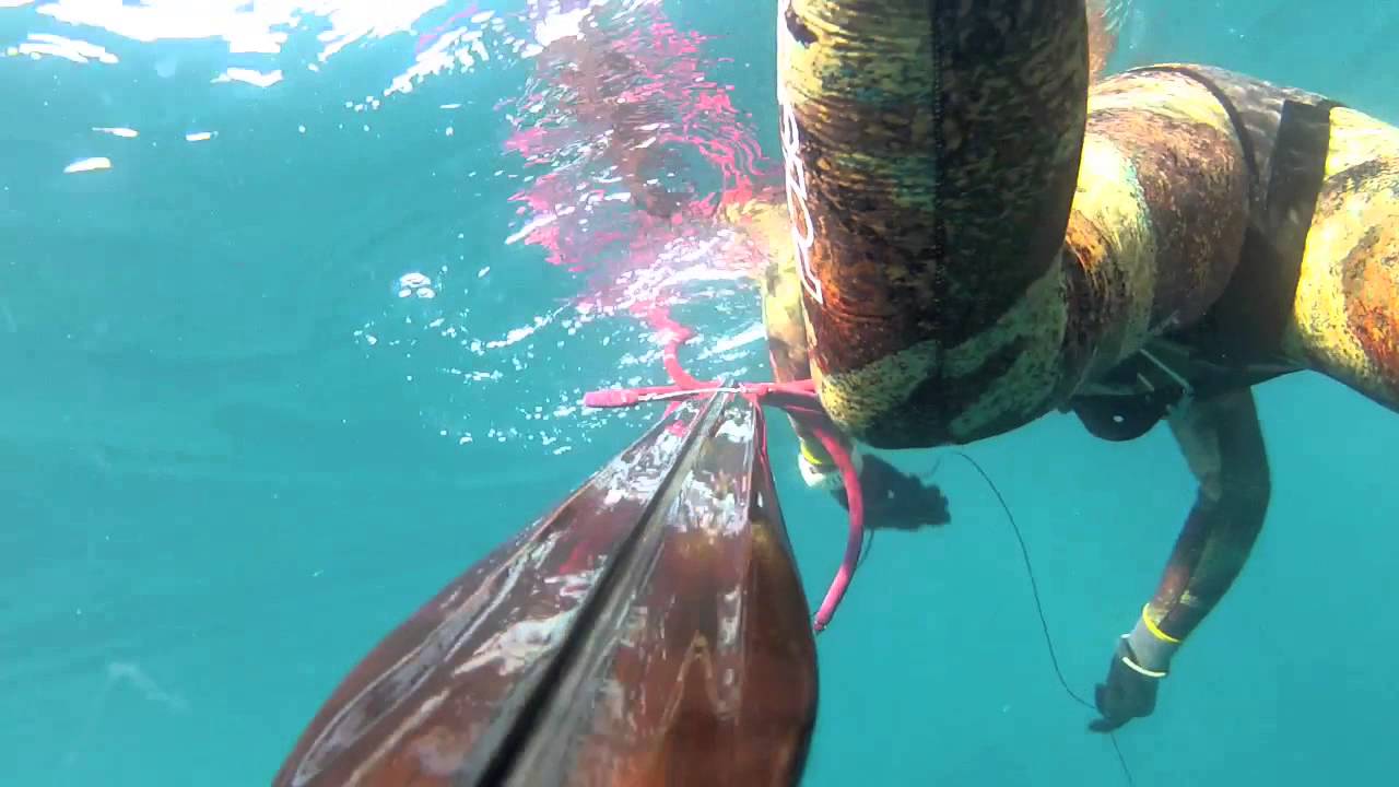 zubic,17.08.2013. - YouTube