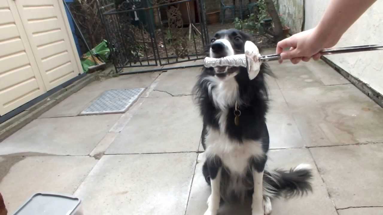 Item Shop : r/ItemShop