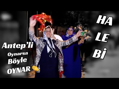 Antep’li Oynarsa Böyle Oynar Halebi’nin Yağını Çıkartan Teyze ve Amca 👏 SüperDüğün Özcan Ailesi...