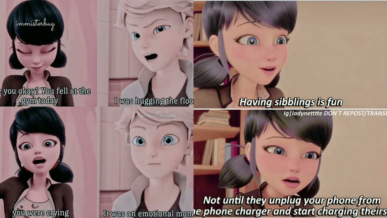 Adrienette Memes || Miraculous Funny Memes || Mlb new memes - YouTube