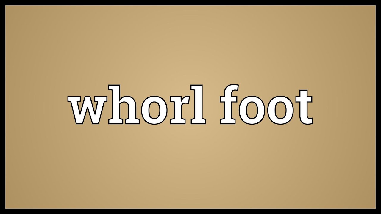 Whorl Foot Meaning YouTube whorl-foot-meaning-youtube