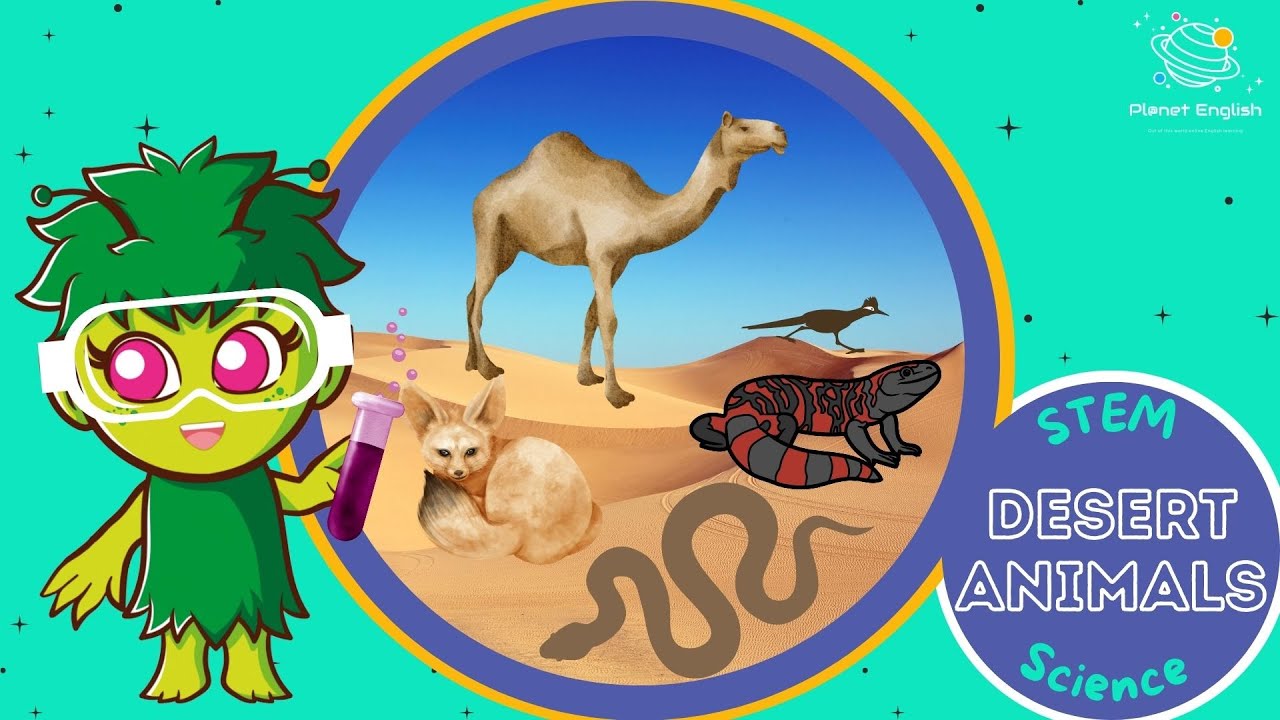 Desert Animals | KS1 Science | STEM and Beyond - YouTube