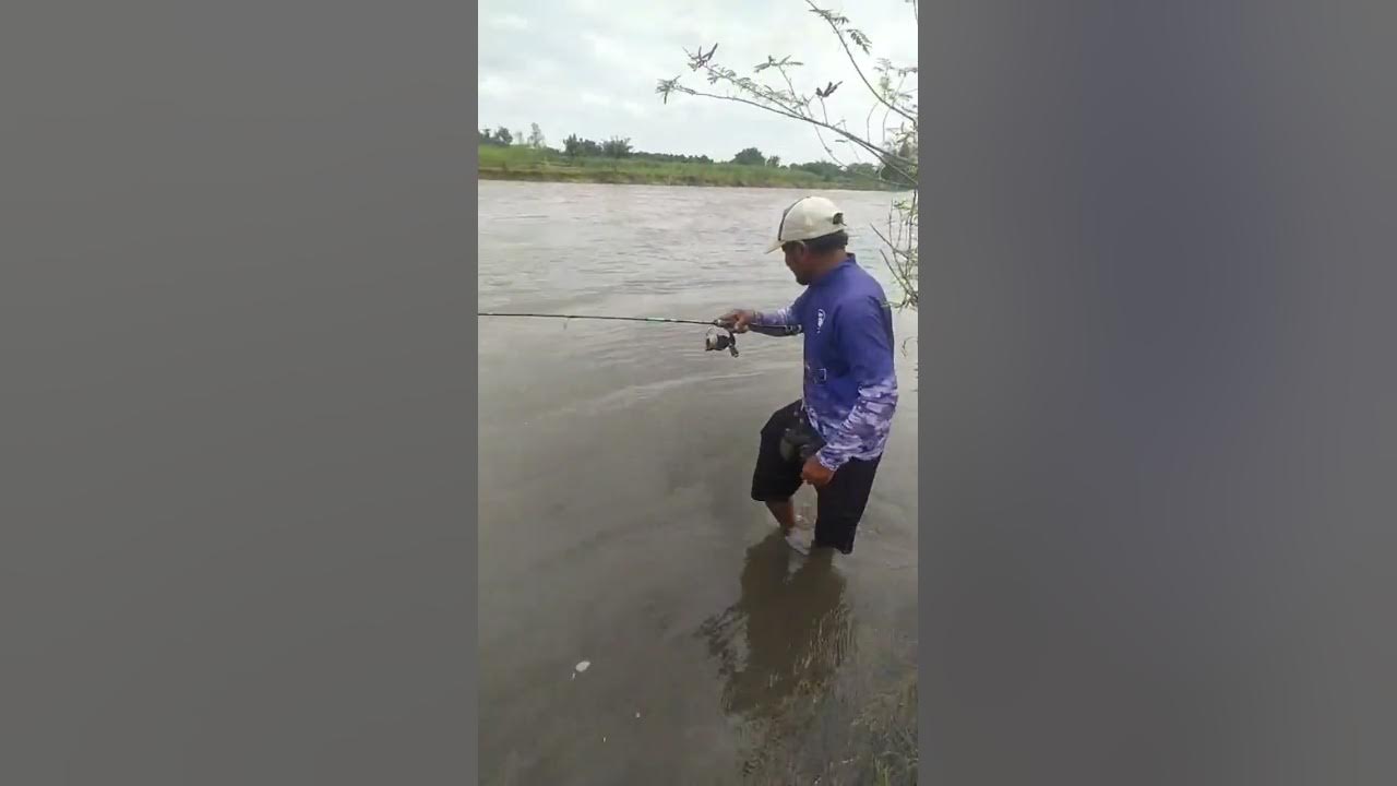Mancing ikan baung ,rengkik ,keting sungai brantas - YouTube