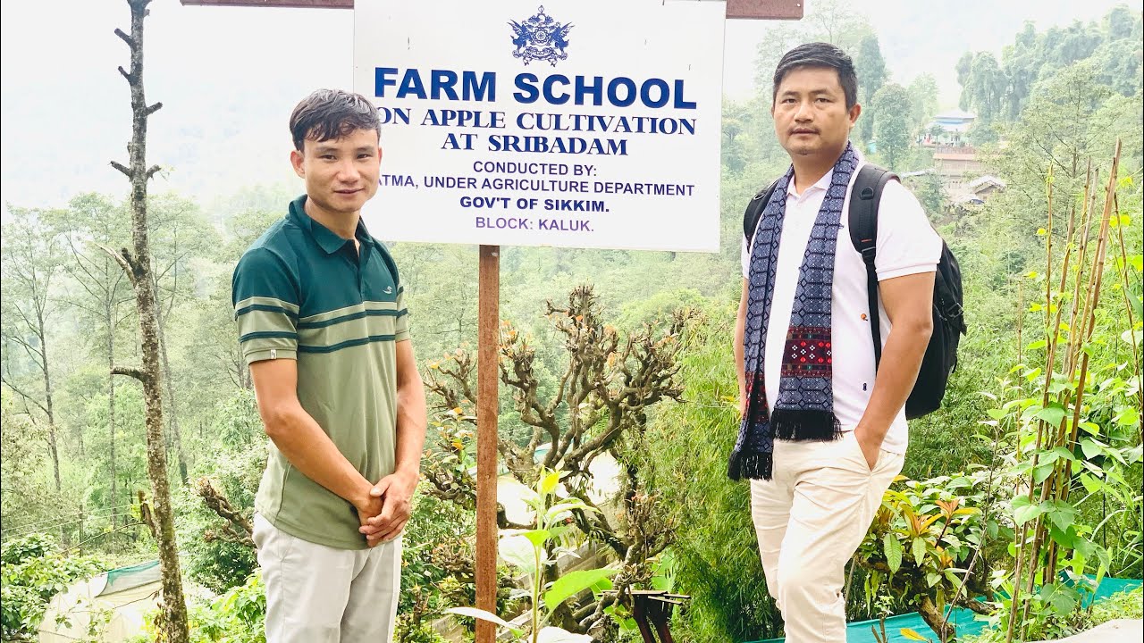 Apple Farm, Upper Sribadam West Sikkim 02/06/2025 - YouTube