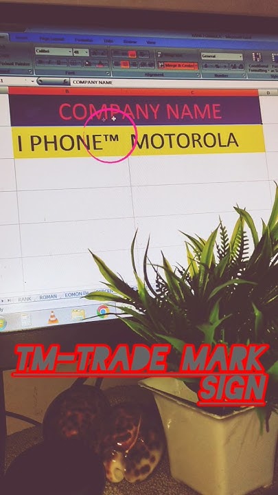 Trade Mark Sign Excell 😎😎😎excel Exceltips Exceltutorial Microsoftexcel Shorts Youtube