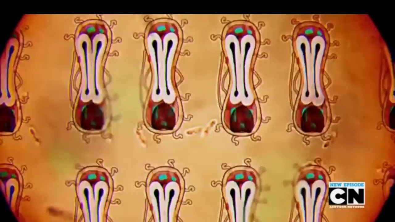 The bacteria song - YouTube