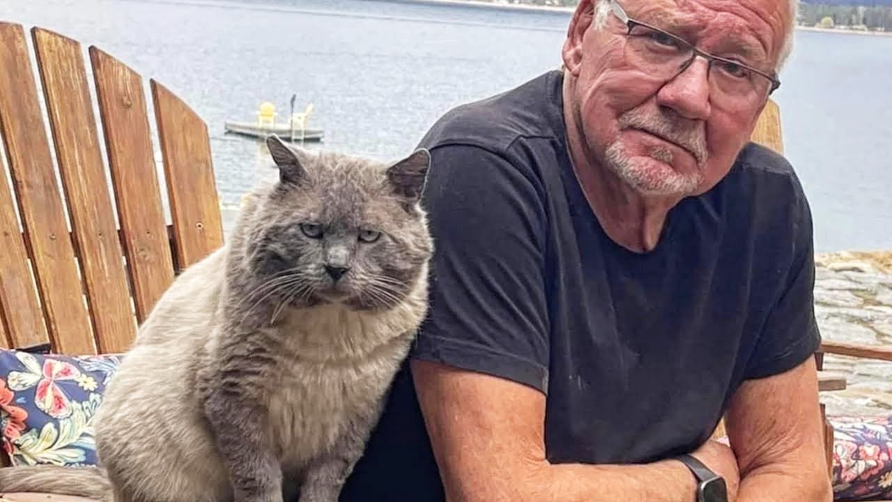 Man Has Never Been Cat Guy But This Stray Cat Melted His Heart - YouTube