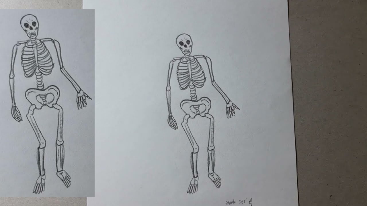 Apprendre à dessiner facilement un squelette humain - YouTube
