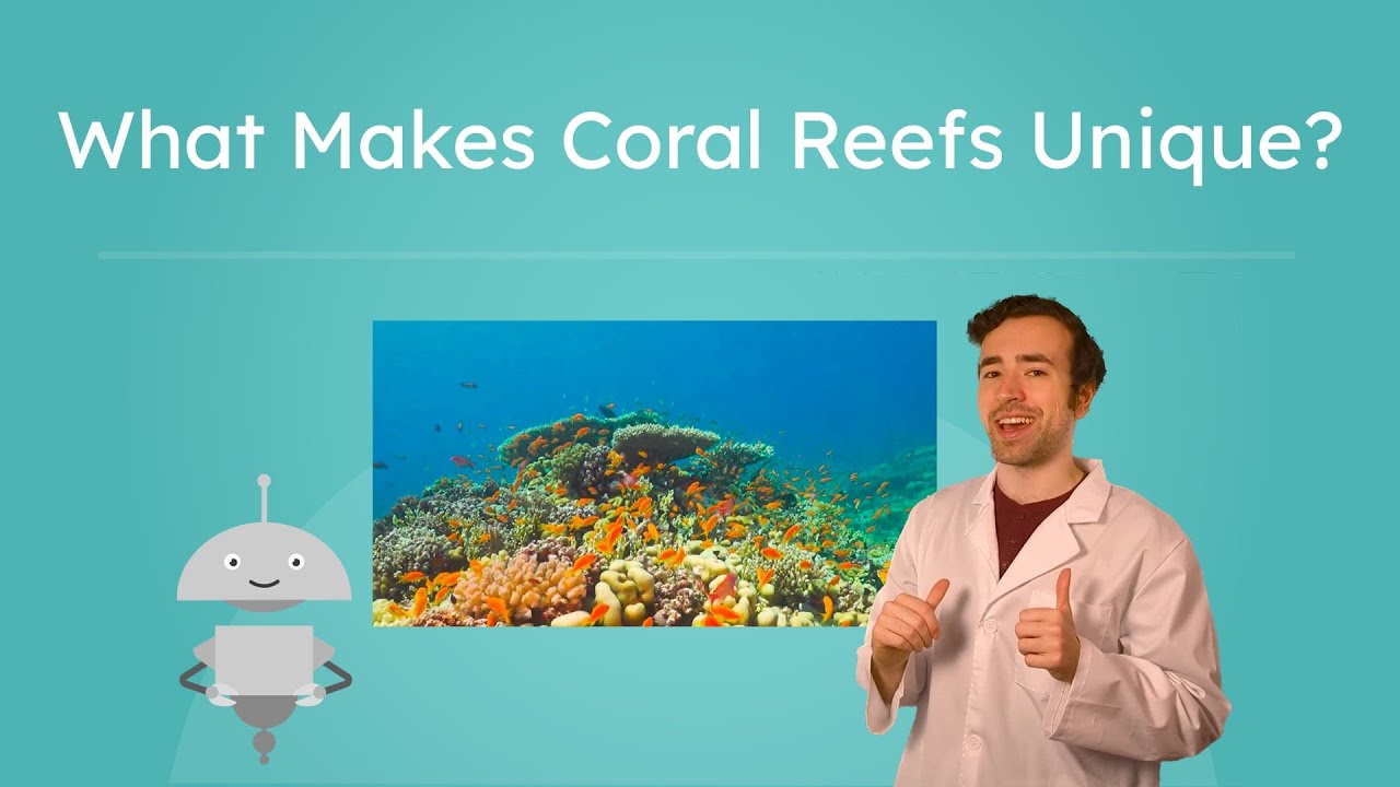 What Makes Coral Reefs Unique? - Exploring Science for Kids! - YouTube