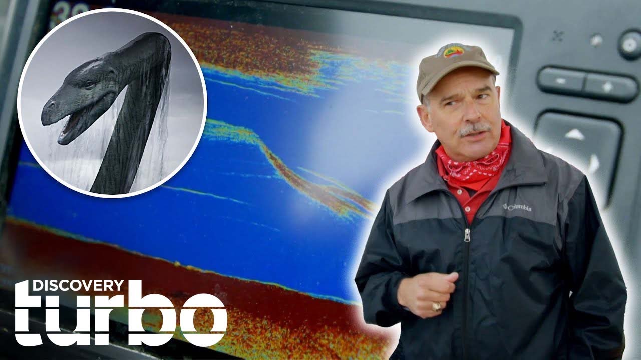 Is This The Loch Ness Monster of Alaska? | The Alaska Triangle - YouTube