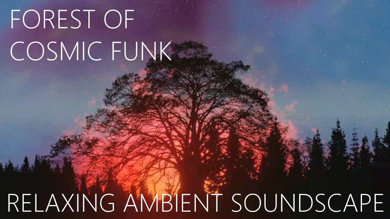 Relaxing Musical Soundscape - Forest Of Cosmic Funk - Mixed Breaks ...