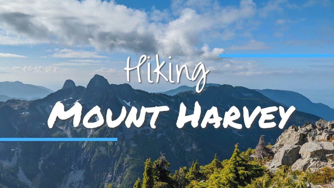 Mount Harvey: Climbing one of the North Shore's TALLEST peaks! - YouTube