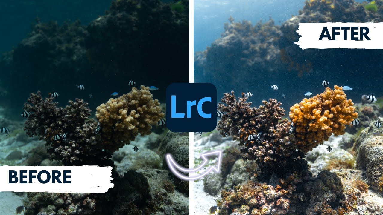 Editing Underwater Photos in Lightroom: A Simple Guide - YouTube