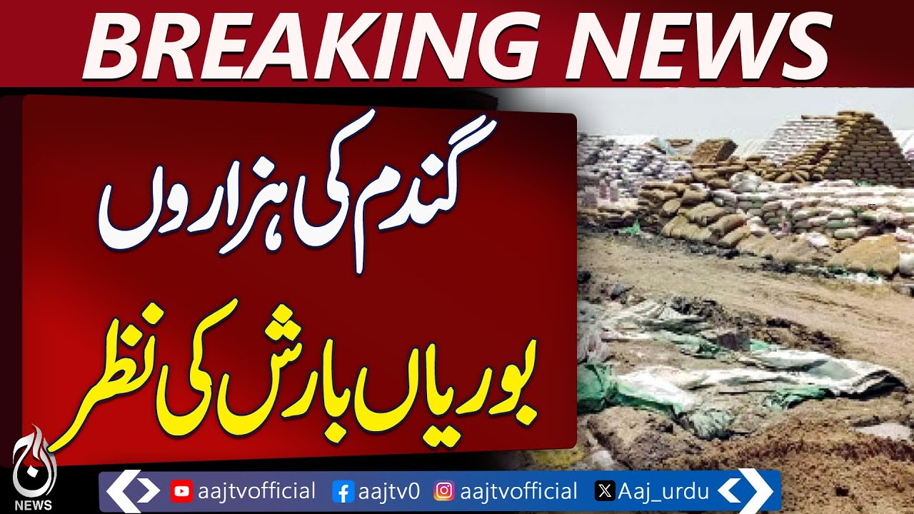 Thousands of wheat sacks ruined by rain in Qambar-Shahdadkot - Pakistan ...