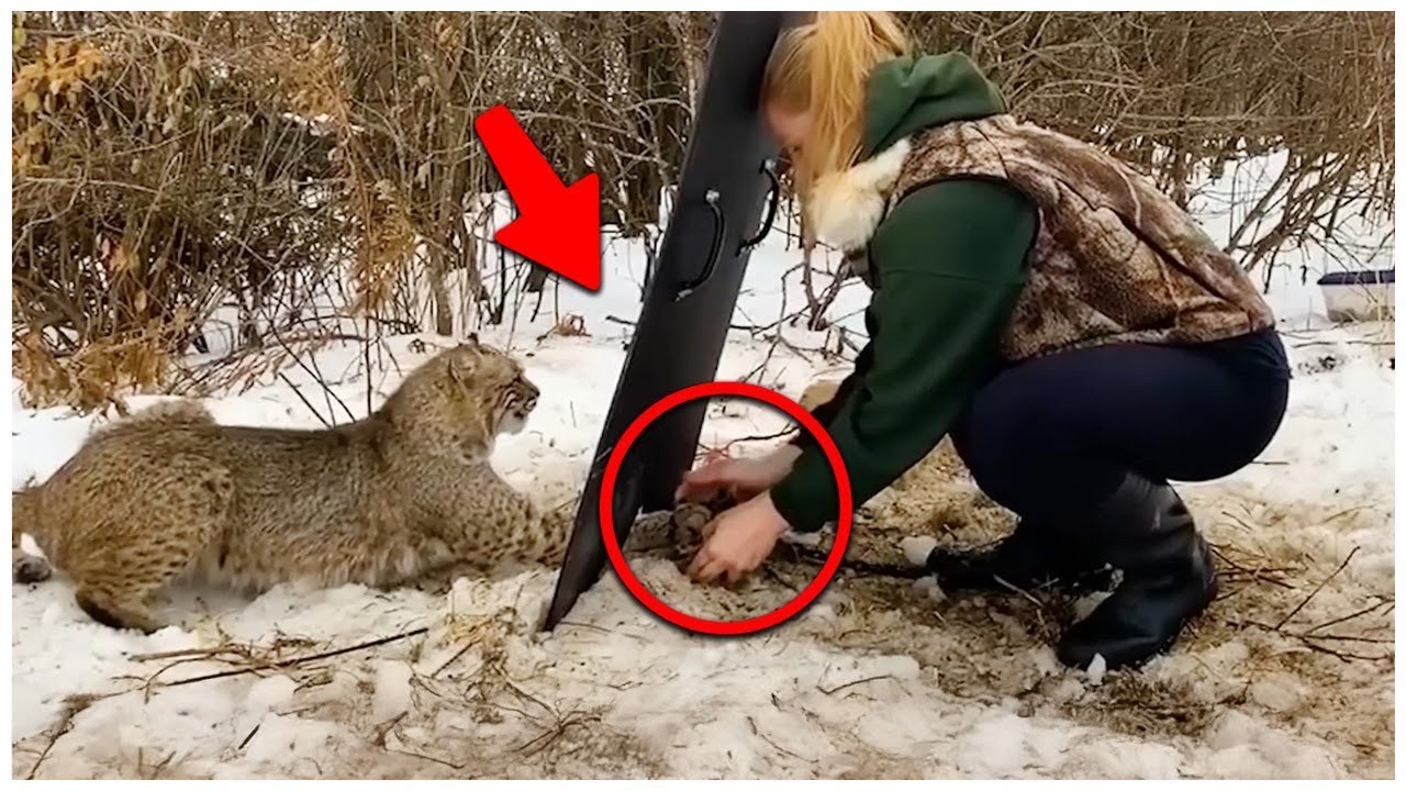 Animals That Asked People for Help and Kindness Caught on Camera!💕 ...