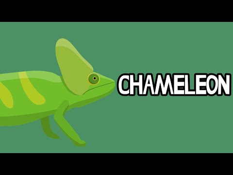 The Chameleon Song 🦎 - YouTube