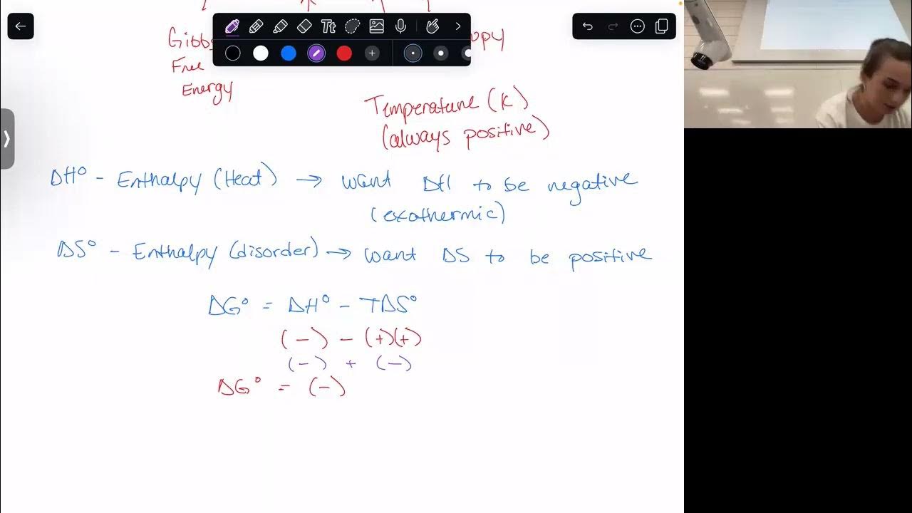 17APR2024 IA Review Session - YouTube