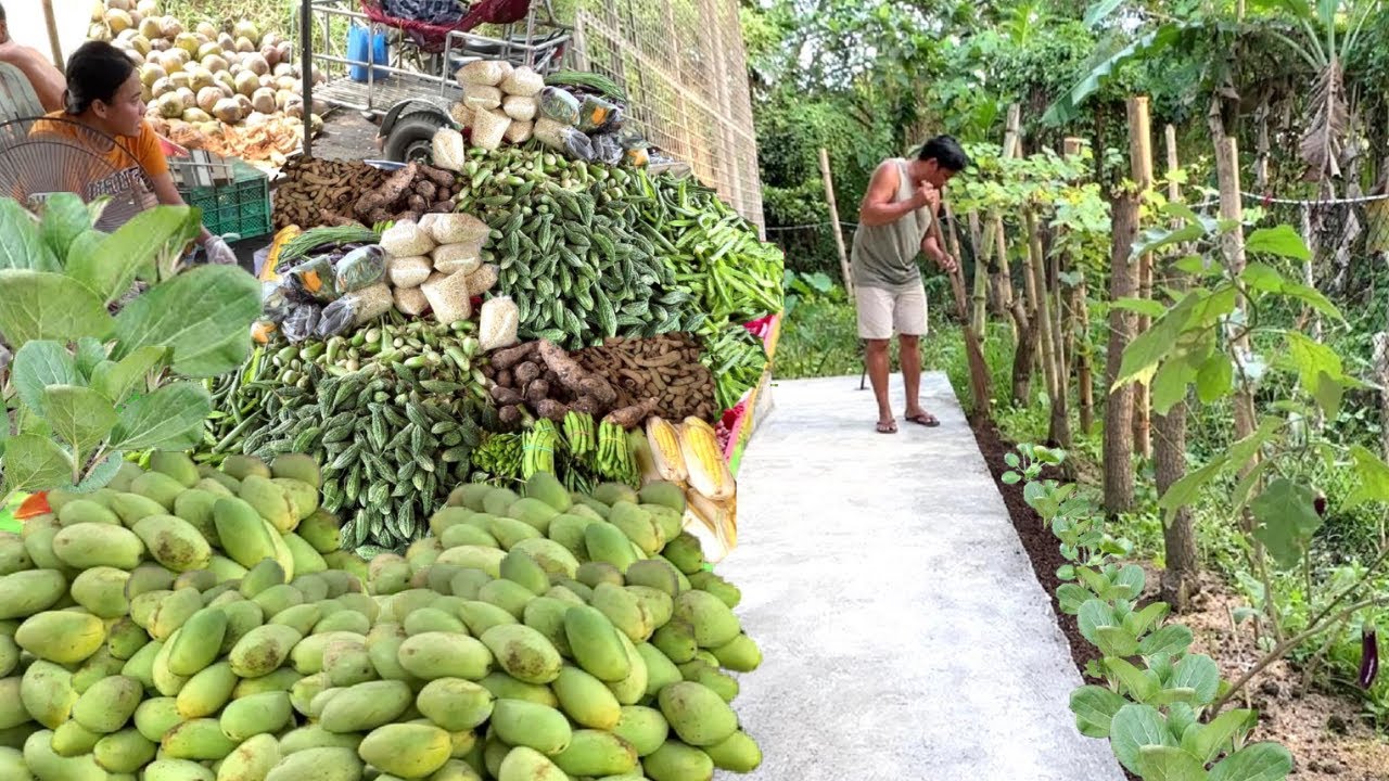 NAPAKASAYA!!! SILA LANG ANG MAY MGA GULAY NA GANITO!!! SARIWANG ANI AT ...