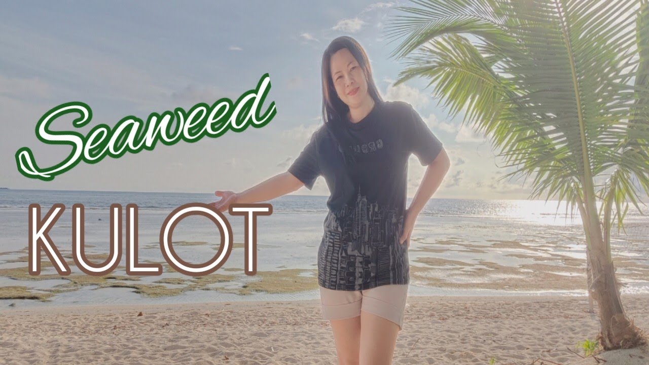 HOW TO HARVEST "KULOT" (SEAWEED) - YouTube