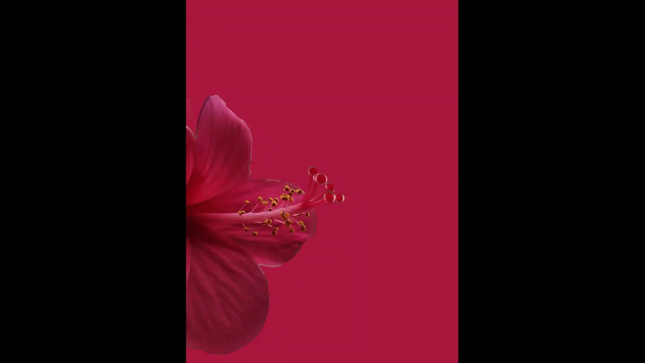 How To Make Background Color Like Main Object In Photoshop YouTube how-to-make-background-color-like-main-object-in-photoshop-youtube
