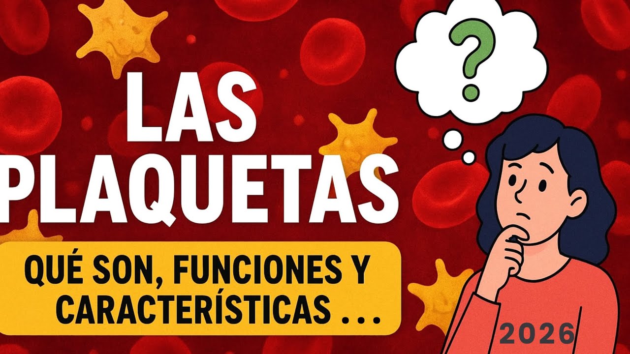 TODO SOBRE LAS PLAQUETAS EXPLICADO FACIL | Mundo Lab - YouTube