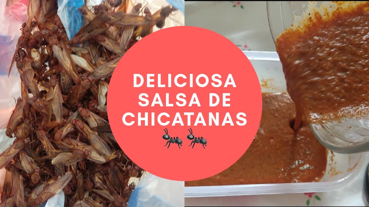 Como preparar salsa de chicatanas? - YouTube