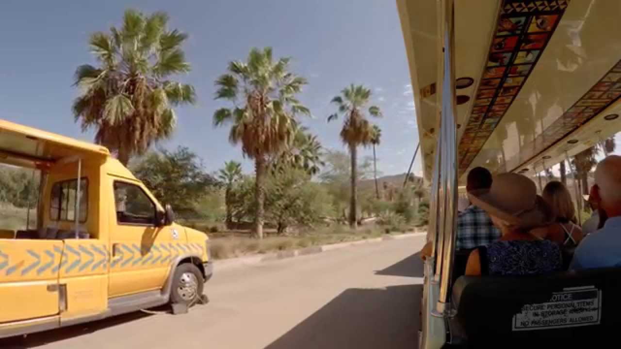 San Diego Zoo Safari Park Africa Tram 2015 Entire Route - YouTube
