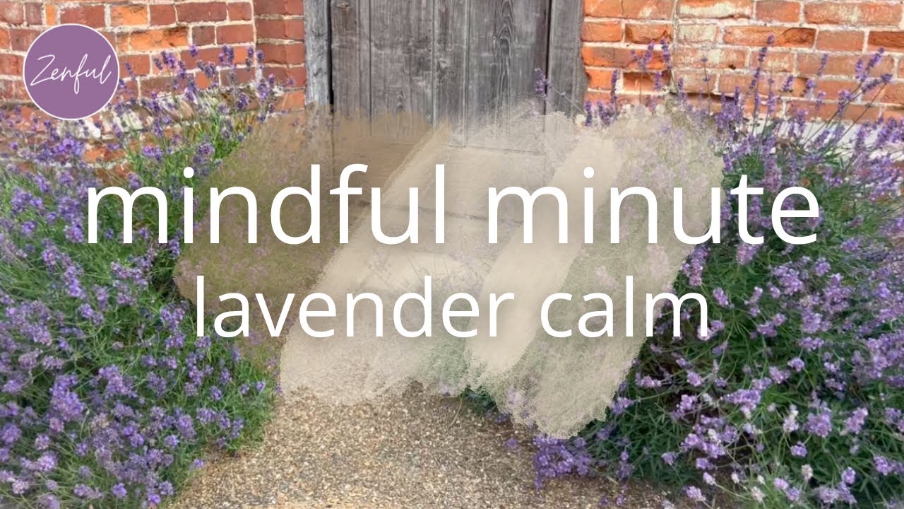 Lavender Calm | 1 Minute Nature Meditation | Mindful Minute - YouTube