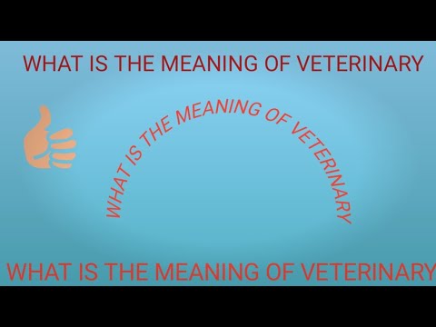 Veterinary Ka Matlab , Basic Knowledge Of Veterinary - YouTube