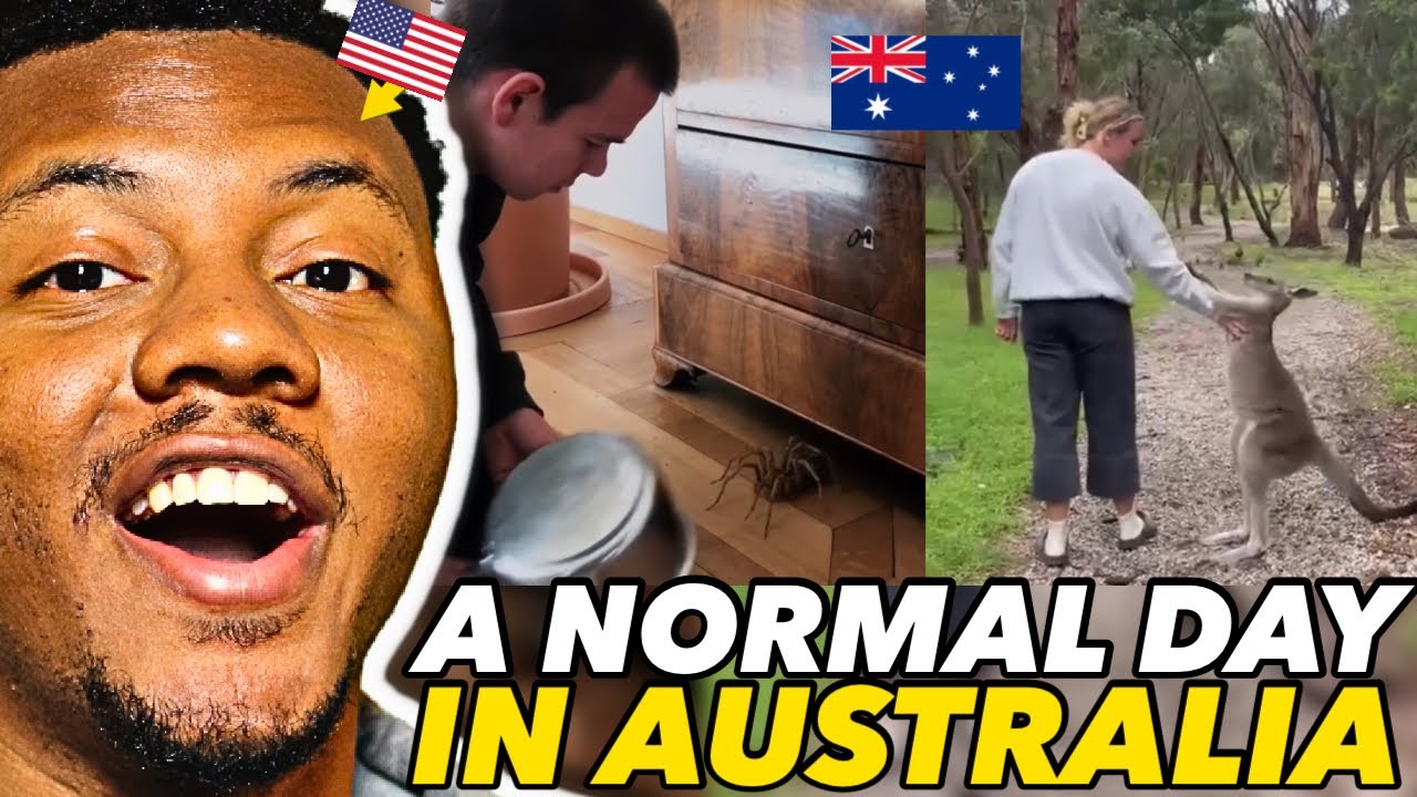 A Normal Day in Australia 🇦🇺 - YouTube