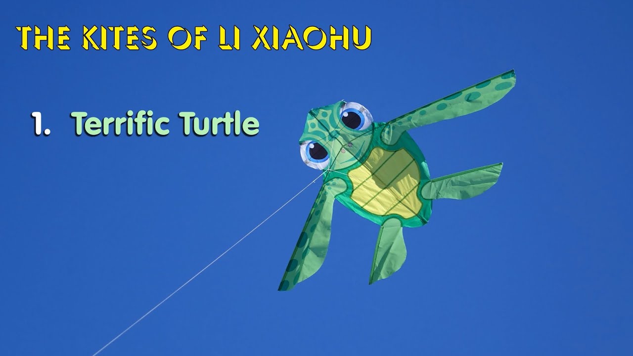 Fun Turtle Kite by Li Xiaohu - YouTube