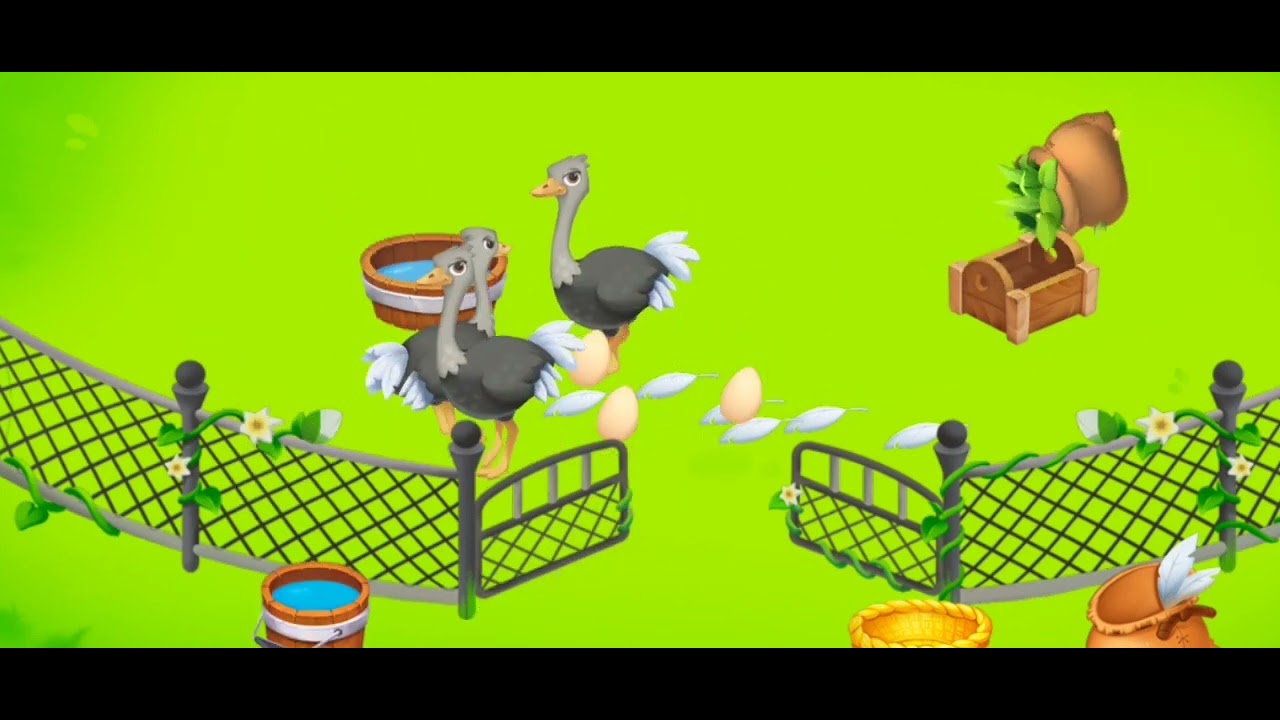 ostrich cartoon ostrich cartoon with voice - YouTube