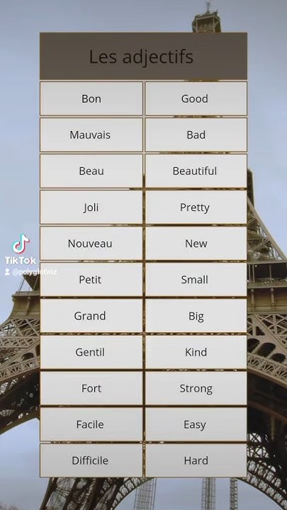 Common French adjectives 🇫🇷 #frenglish #a1 #frenchlanguage #learning # ...