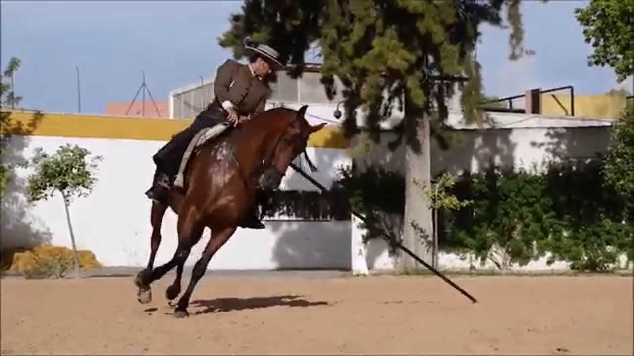 Horses~Boom Boom Clap - YouTube